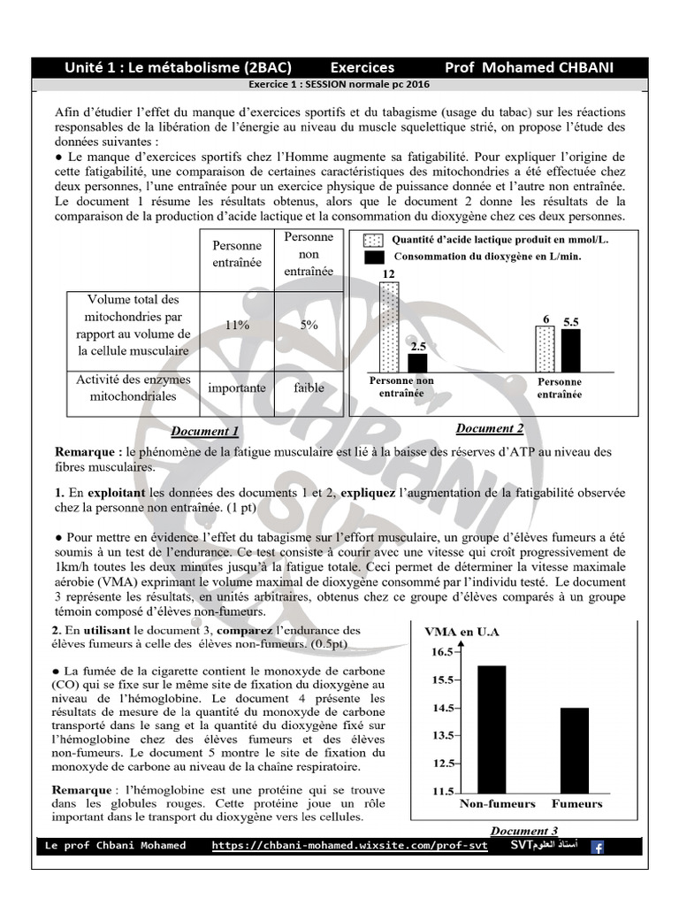 Exercices de Métabolisme SVT 2BAC | PDF