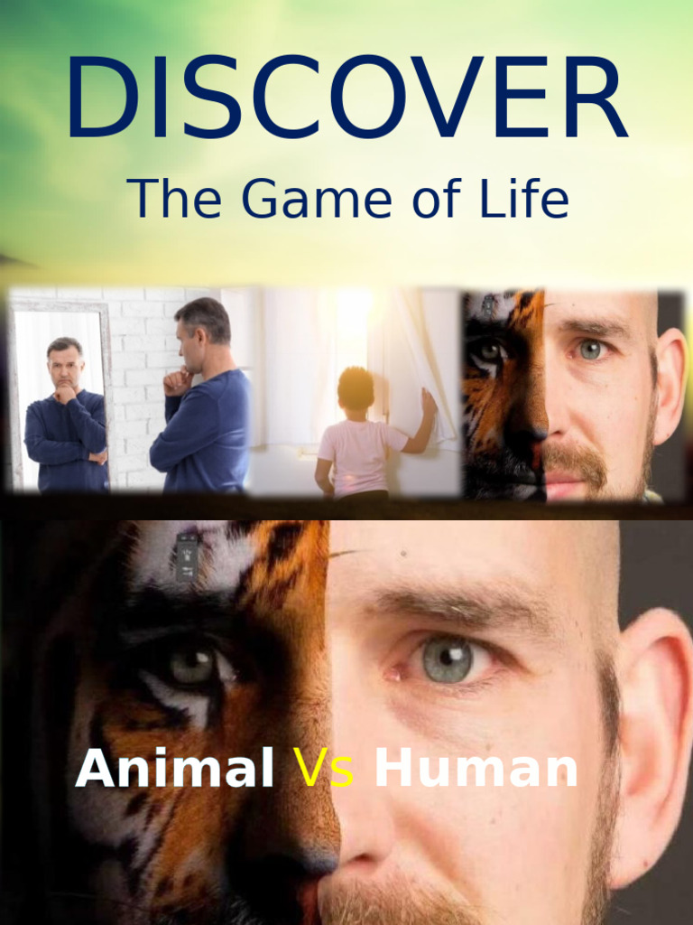 Discover The Game of Life (DYS2021 Ver2.0) | PDF | Happiness | Meditation