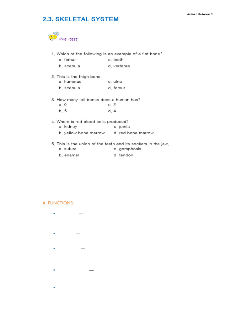 2 2 - Skeletal-System | PDF | Skeleton | Bone