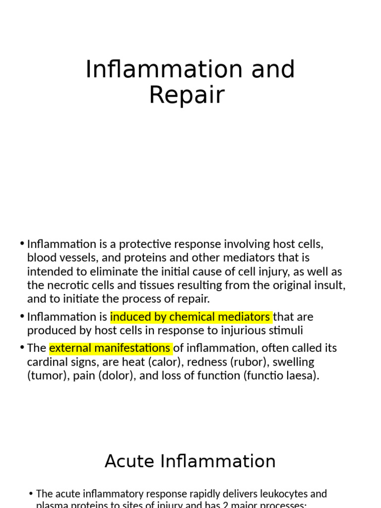 Understanding Inflammation and Repair | PDF | Wound Healing ...