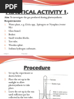 Destarching The Leaf | PDF | Photosynthesis | Leaf
