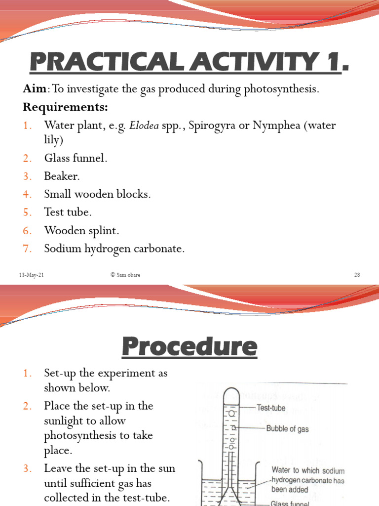 Biology Assignment | PDF | Photosynthesis | Water