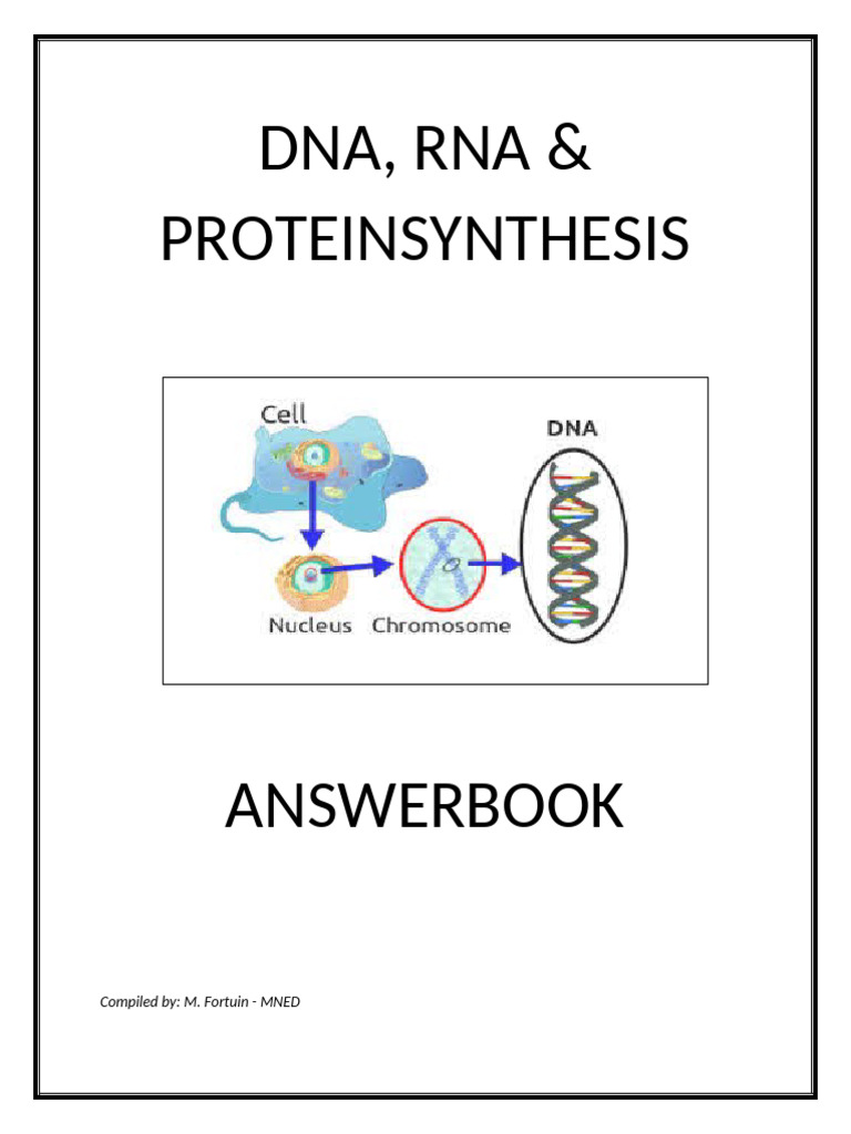 Dna Rna Protein Synthesis Revision - 2018answerbook | PDF | Translation ...