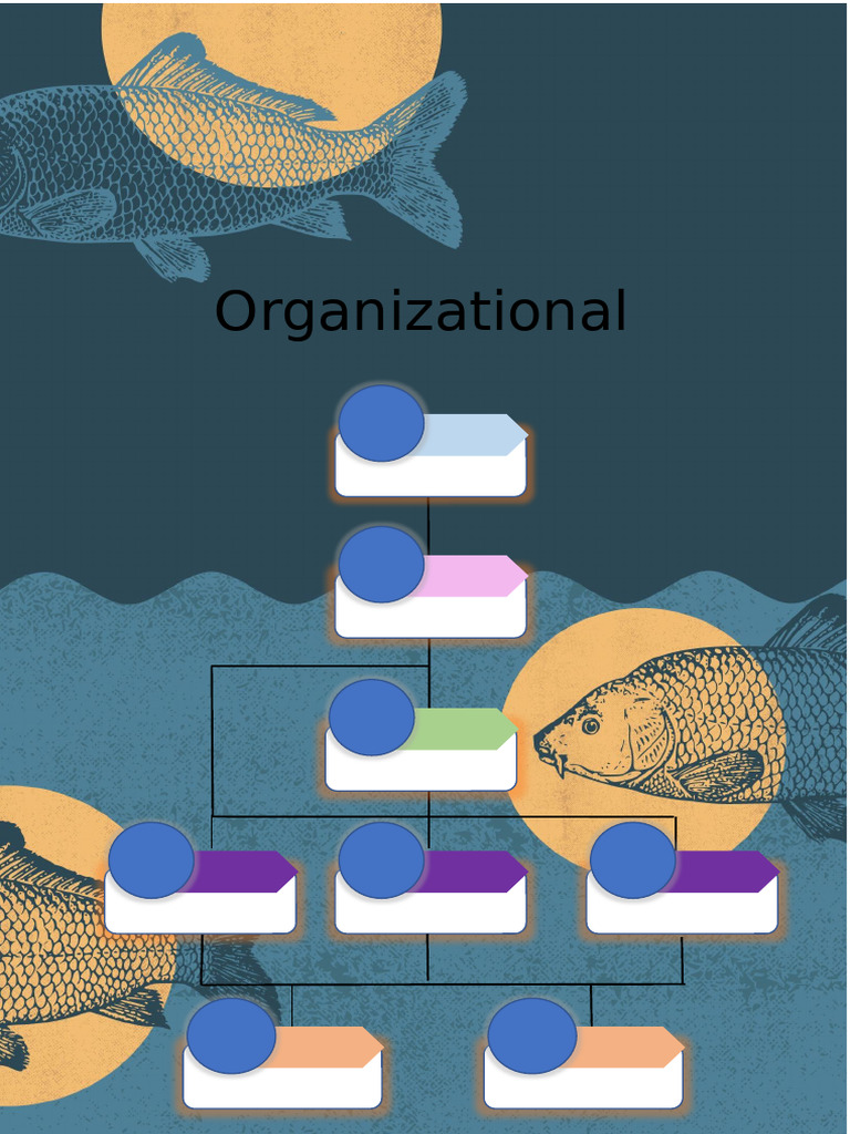 Organizational Chart Pdf
