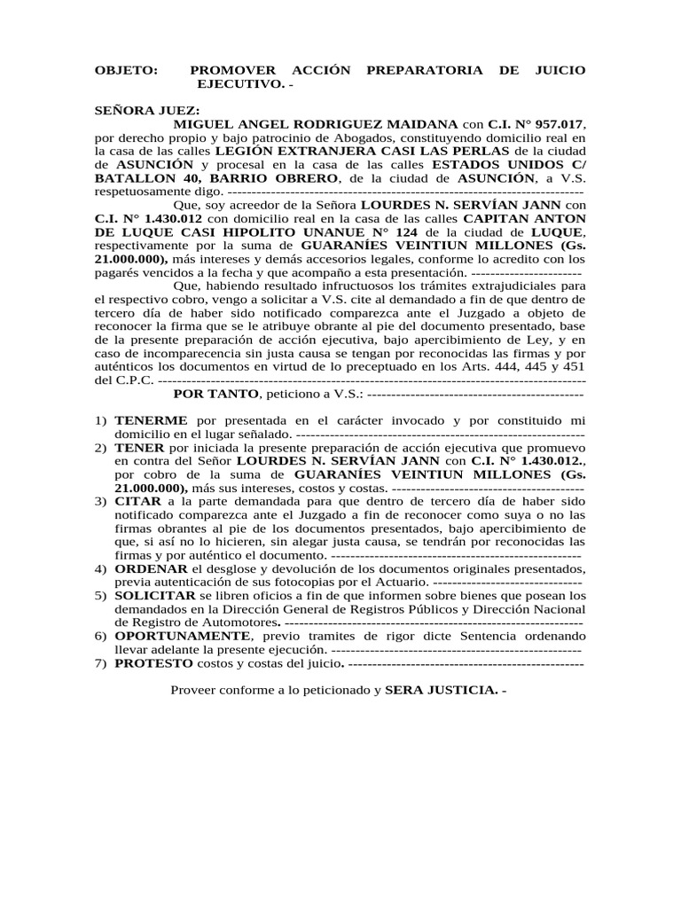 Accion Prep. de Juicio Ejecutivo y Primera Providencia Caso Miguel ...