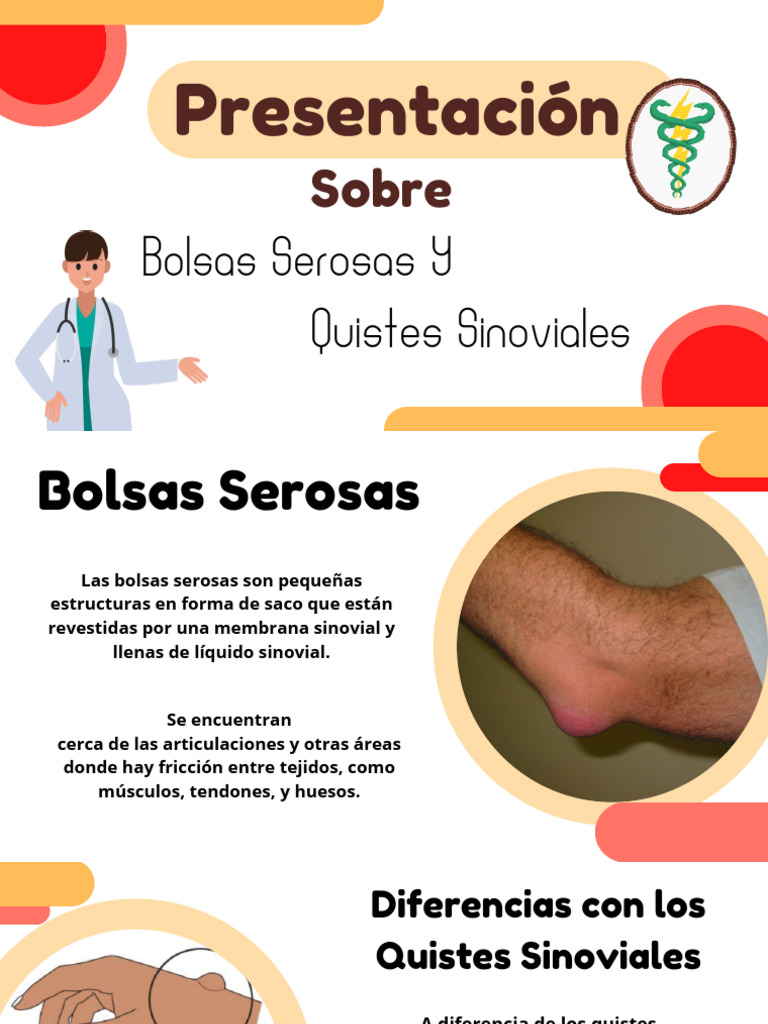 Presentación - 20241103 - 134935 - 0000 | PDF | Articulación ...