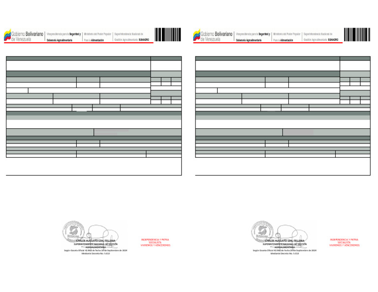 IMPRIMIR GUIA 30-09-24 | PDF
