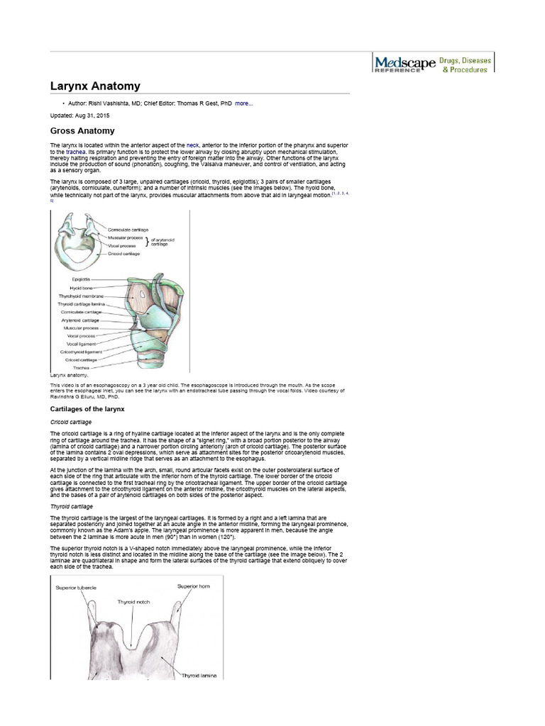 Laryngeal_Anatomy_Medscape_2015_1 | PDF | Larynx | Common Carotid Artery
