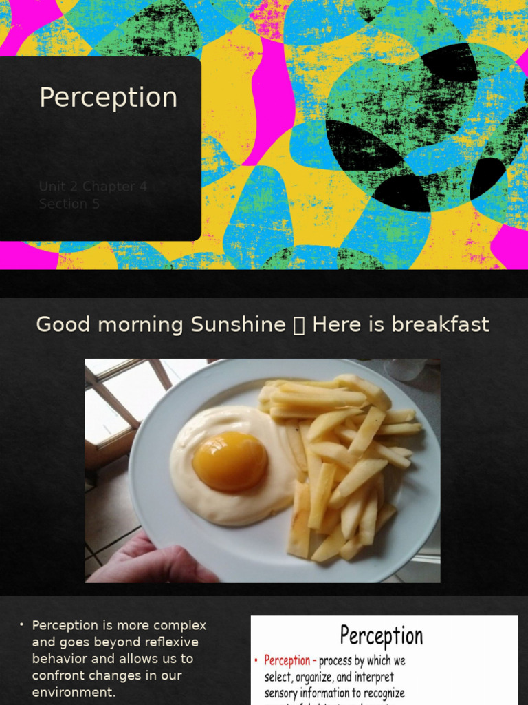 Q2 PPT 6 Psychology Perception 1 | PDF | Perception | Psychology