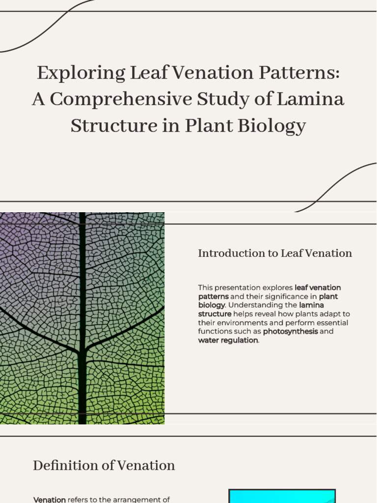 Slidesgo Exploring Leaf Venation Patterns A Comprehensive Study of ...