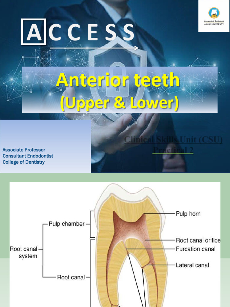 2 WEEK 2 Demo Anterior Access 2023 2024 | PDF | Dentistry Branches ...