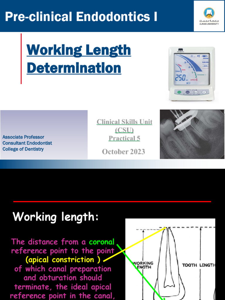 Endodontic Working Length Guide | PDF | Mouth | Tooth