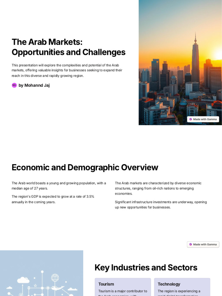 Arab Markets: Insights for Businesses | PDF | Infrastructure | Investing