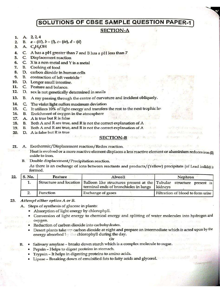 Sample Paper 1 | PDF