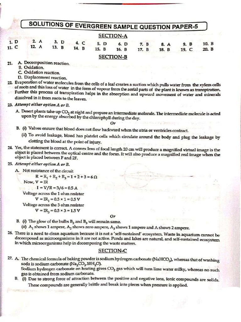 Sample Paper 5 | PDF
