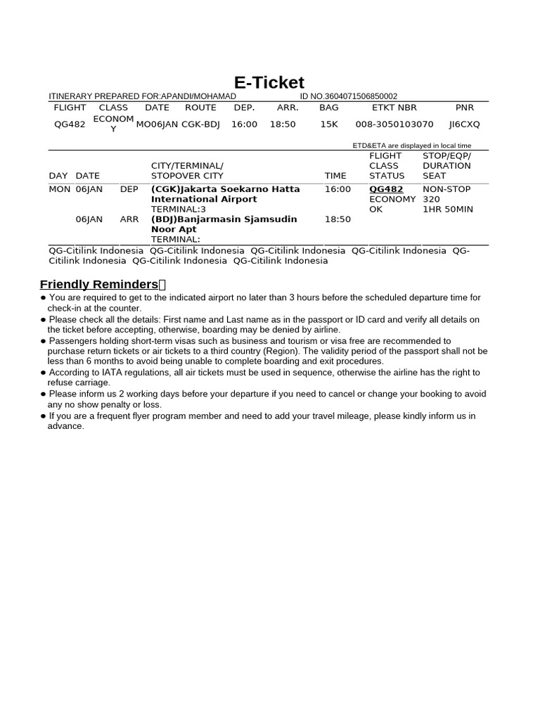 2025 01 06电子行程单 Apandi Mohamad Qg | PDF