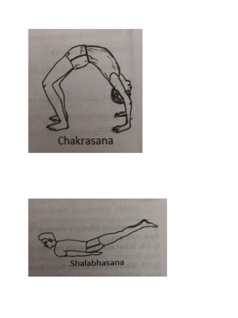 Pe Project | PDF