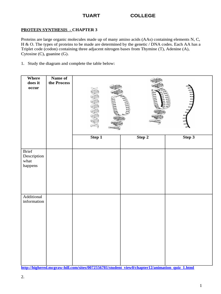 Chapter 3 Protein Synthesis | PDF | Translation (Biology) | Gene
