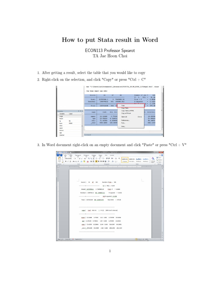 Stata Word | PDF