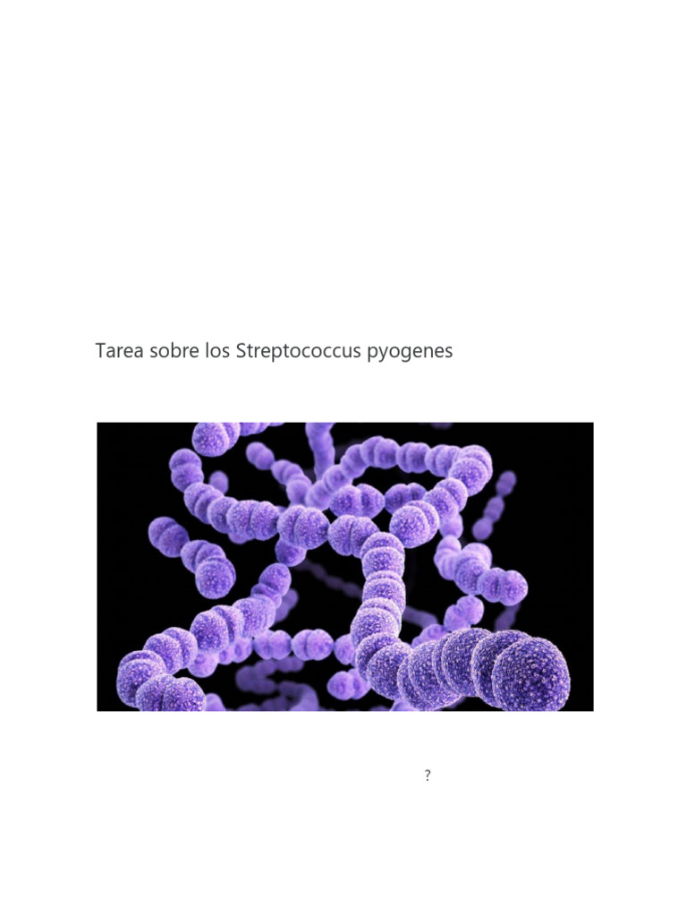 Enfermedades y Diagnóstico de S. pyogenes | PDF | Estreptococo ...