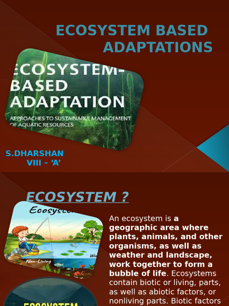 Ecosystem Based Adaptations | PDF | Ecosystem | Environmental Science