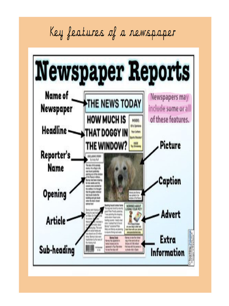 Features of A Newspaper | PDF