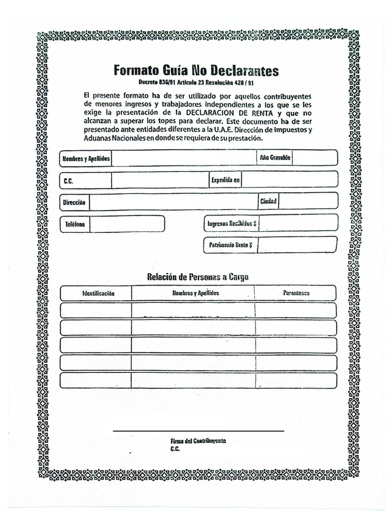 Formato Guia No Declarante Vacio | PDF
