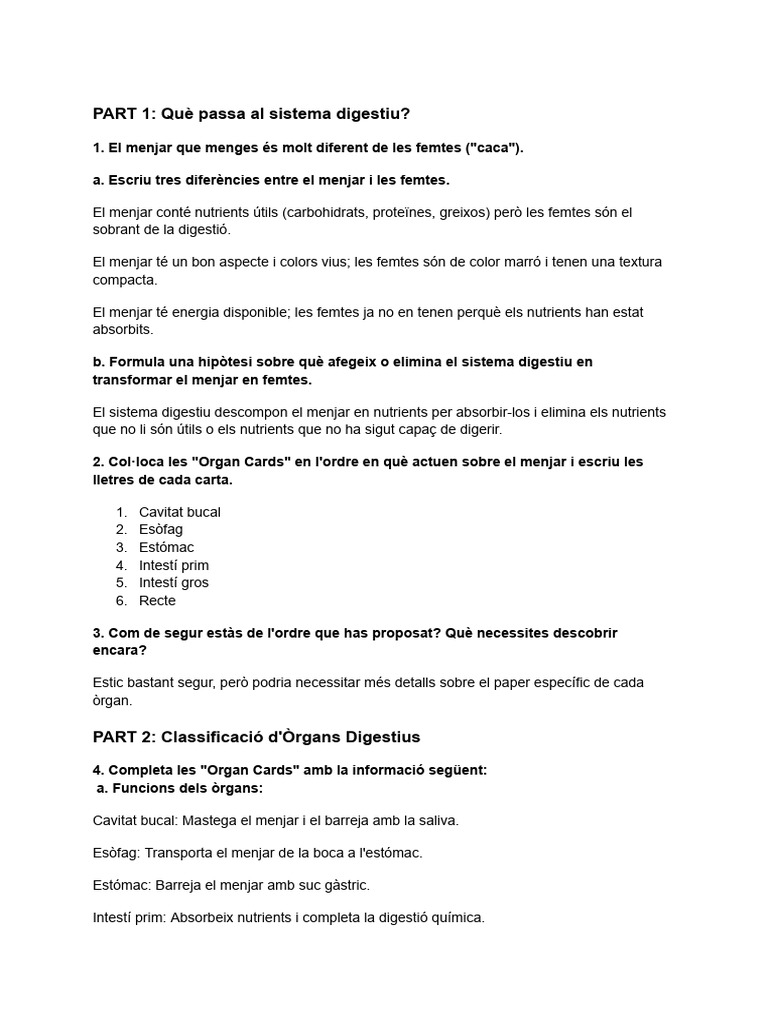 Digestive System Card Sort Activity Student Handout Respostes | PDF