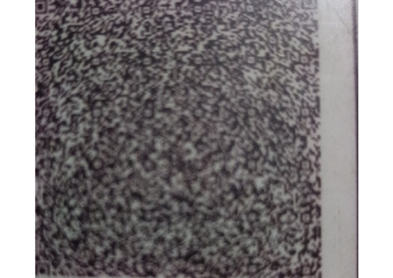 PDFReader 20250201 2125 | PDF