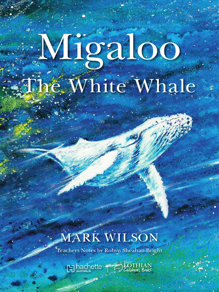 Teachers Notes | PDF | Cetaceans