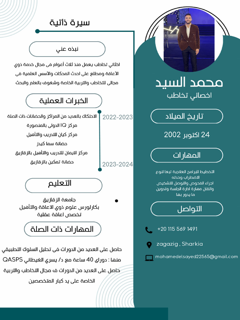 Mohamed Elsayed CV | PDF
