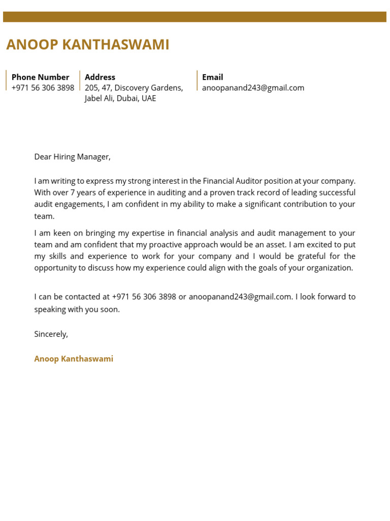 Application for Financial Auditor Position | PDF