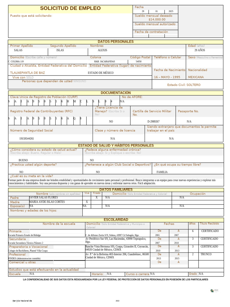 SNE_SOLICITUD_DE_EMPLEO_PLANTILLA_PDF | PDF