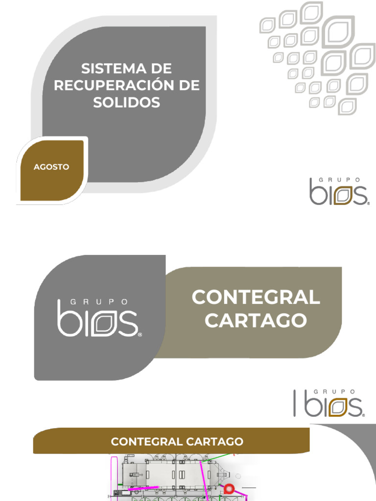 PRESENTACION SRS ESQUEMAS | PDF