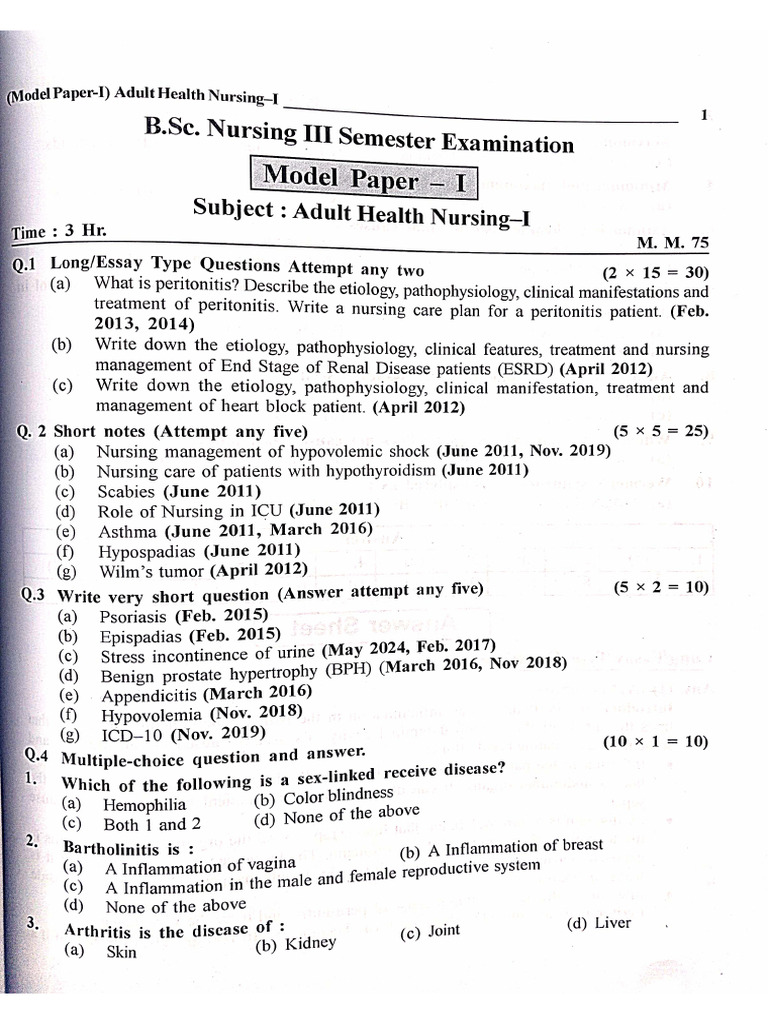MSN Modal Paper | PDF