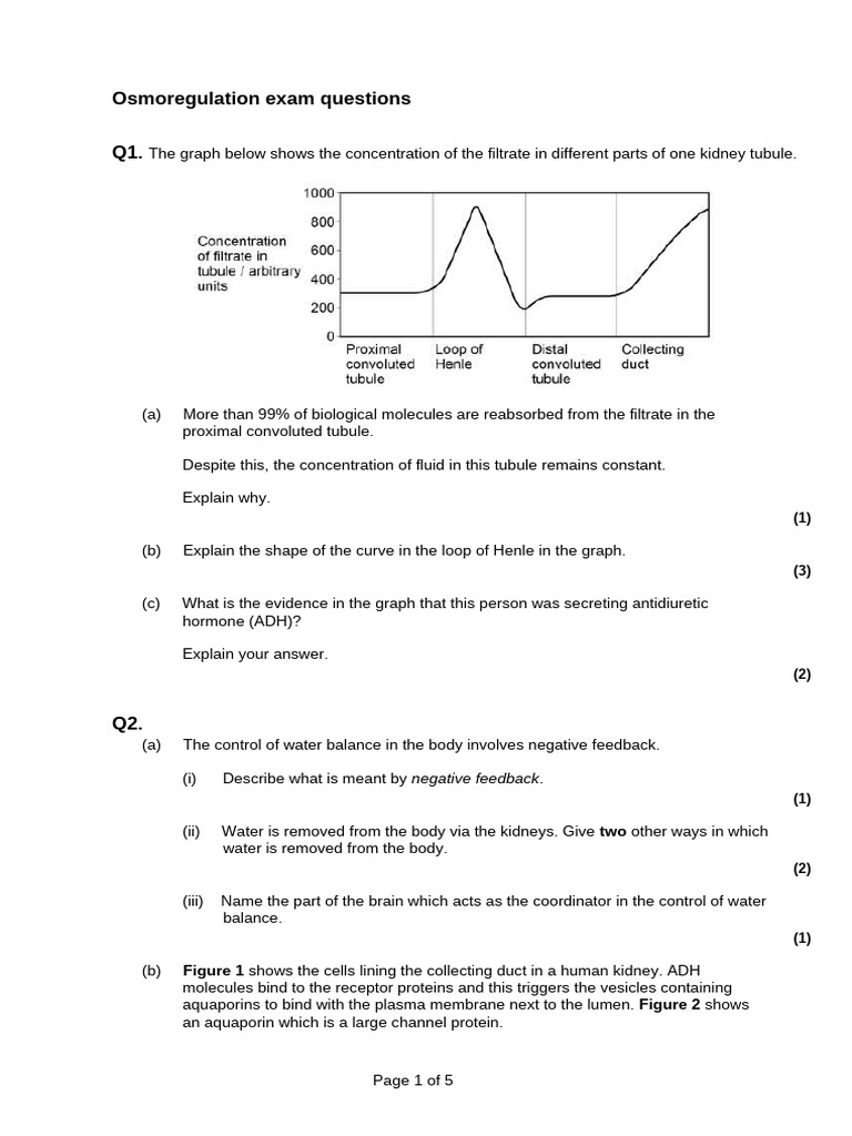 Osmoregulation Exam Questions and Answers | PDF | Kidney