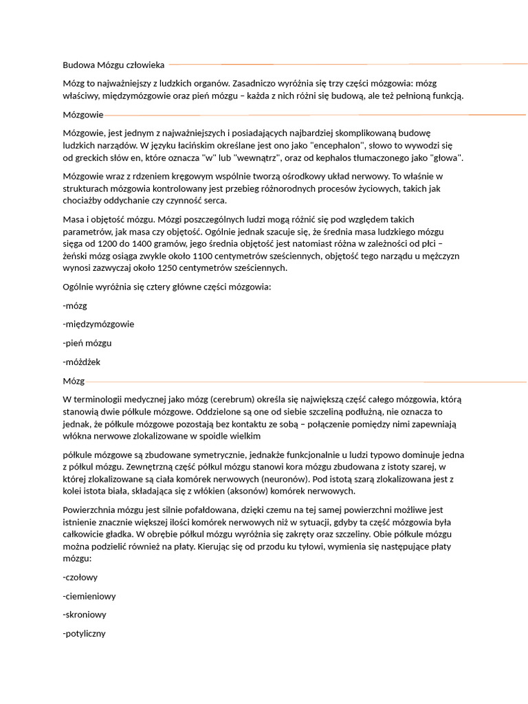 Budowa Mózgu Człowieka | PDF