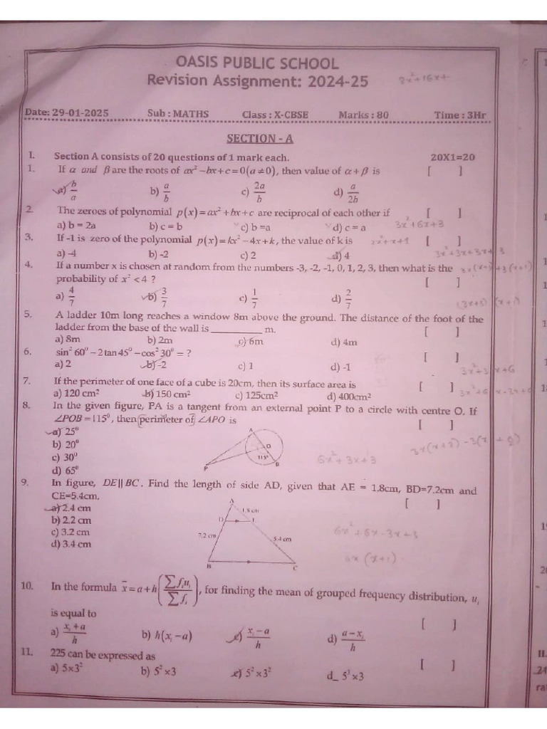 Question Paper | PDF