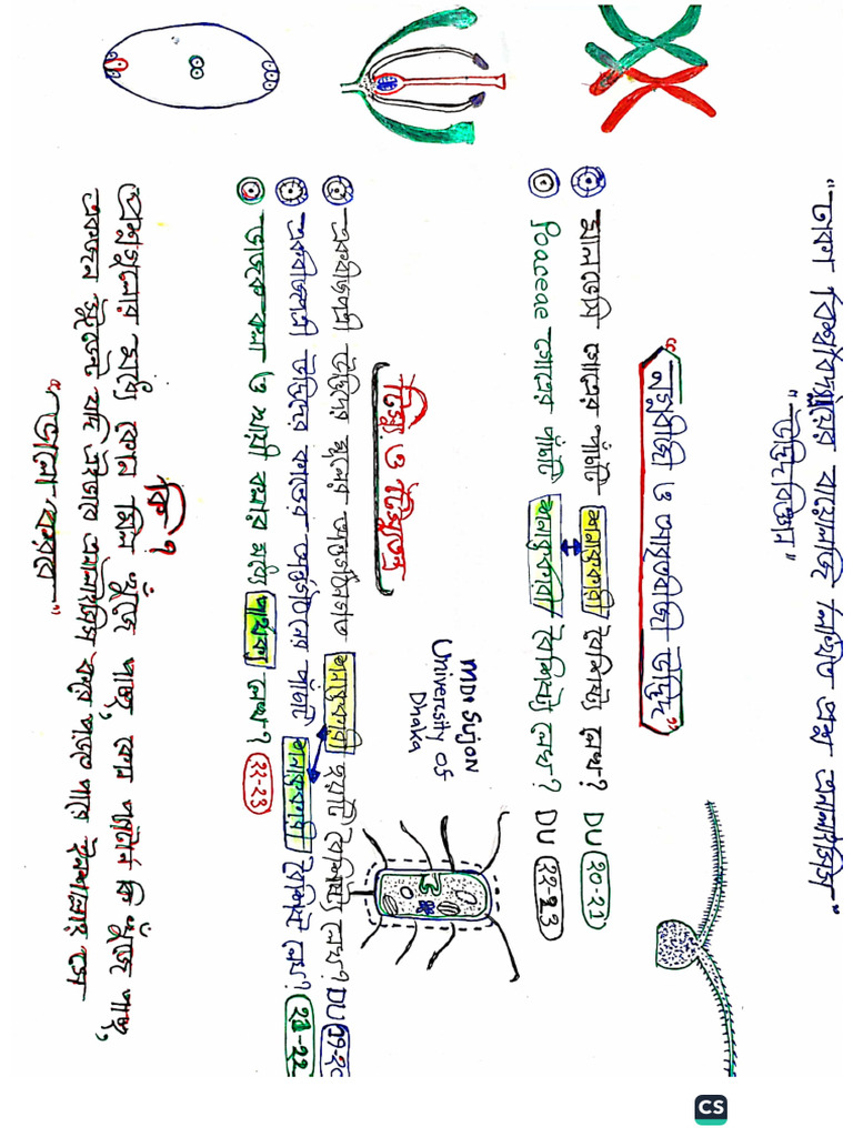 Biology Written Analysis | PDF