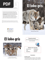 Anexo Lobos Continuemos Estudiando | PDF | Zoología