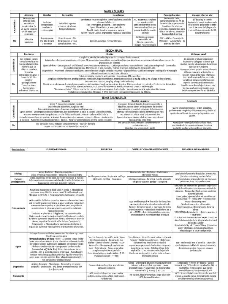 Enfermedades Nasales en Caballos: Diagnóstico y Tratamiento | PDF | Tos ...