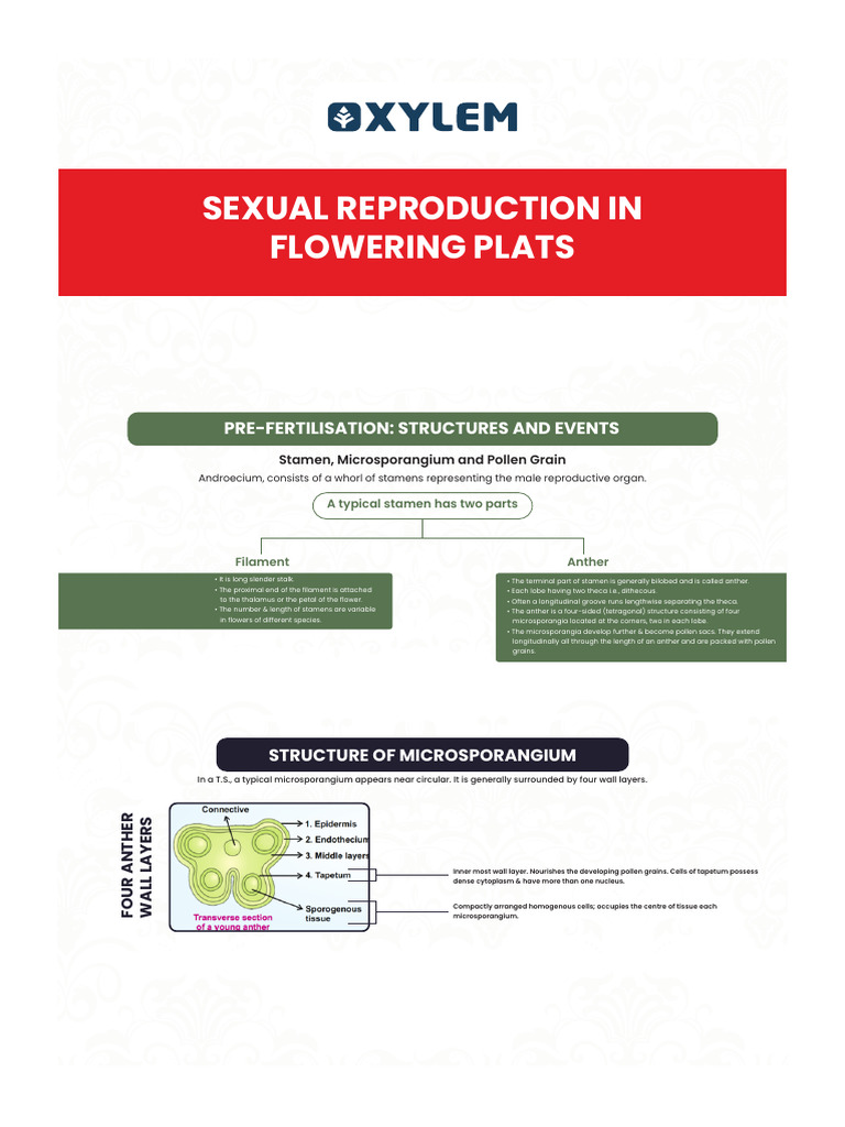 SEXUAL REPRODUCTION IN FLOWERING PLANTS - MIND MAP _ PDF | PDF ...