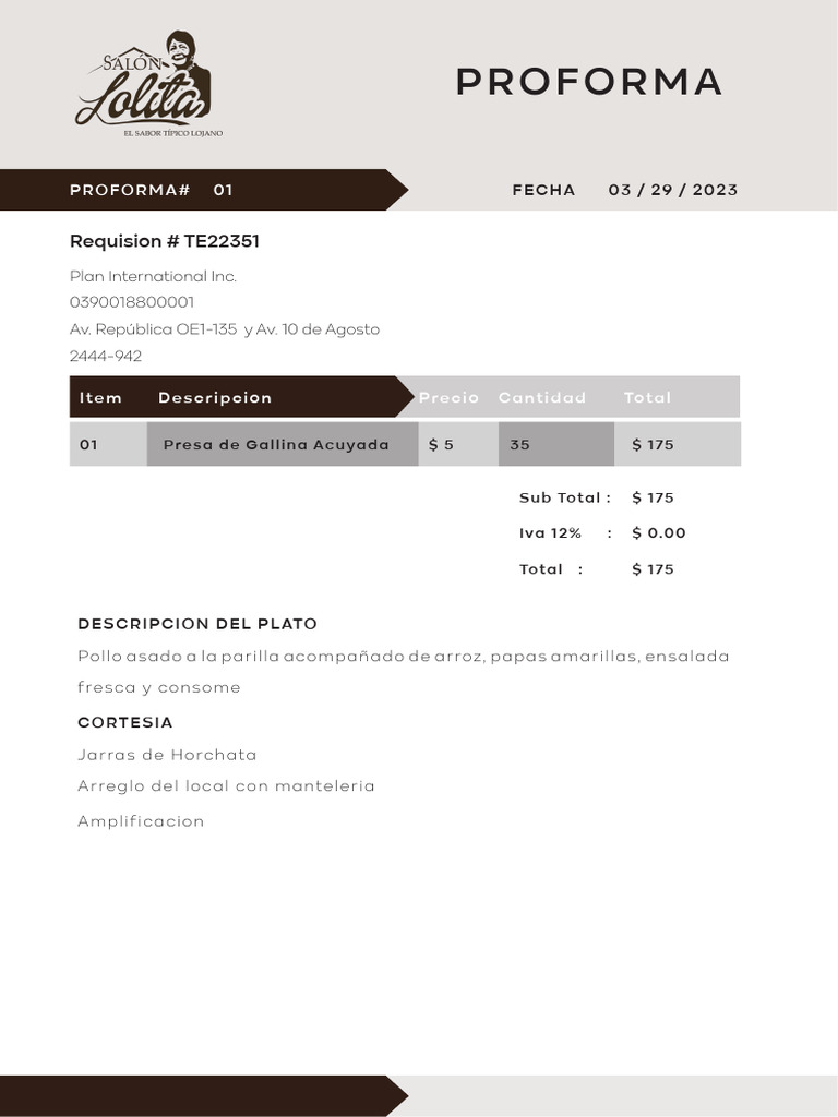 Proforma Plan Internacional | PDF