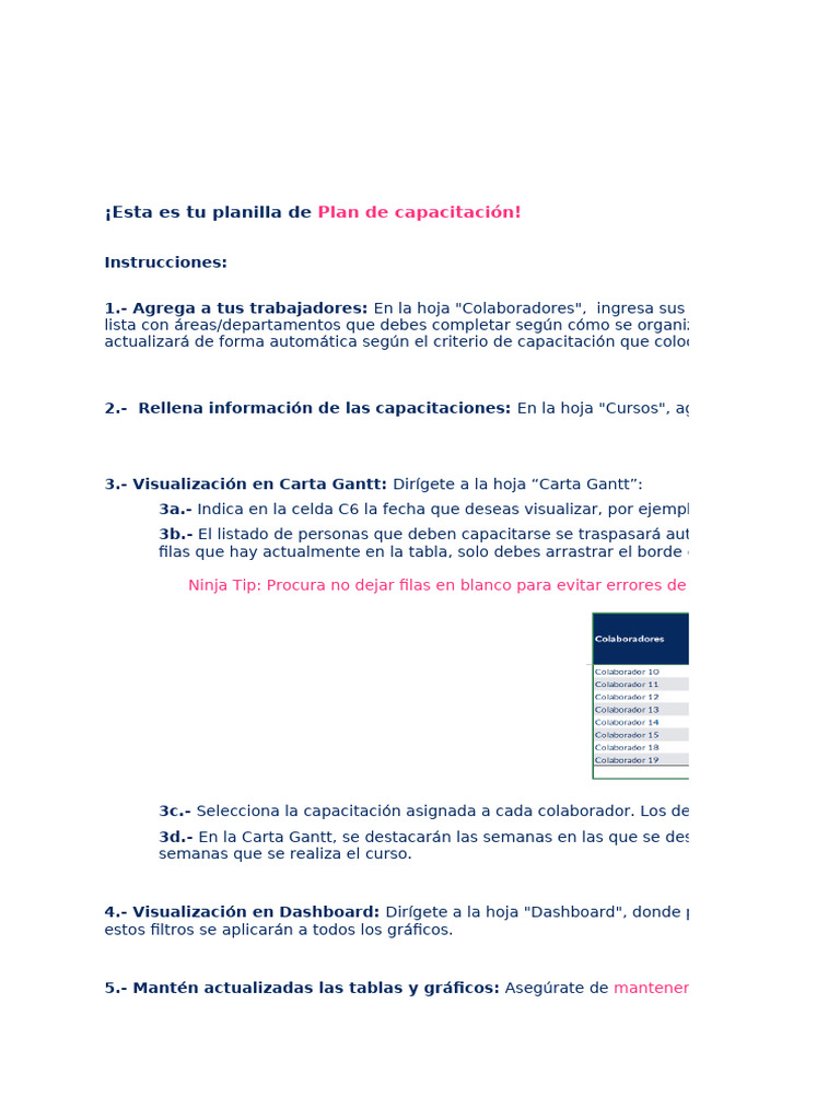 Planilla Plan de Capacitación Ninja Excel - 2025 | PDF | Microsoft Excel | Hoja de cálculo