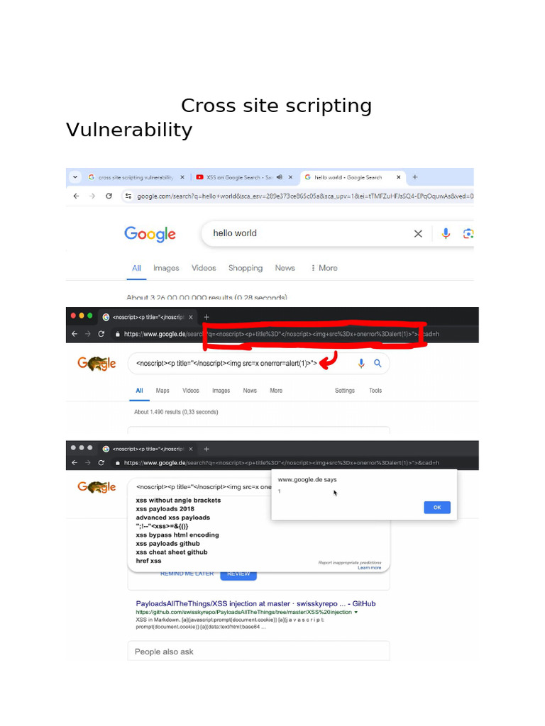 Cross Site Scripting Vulnerability | PDF