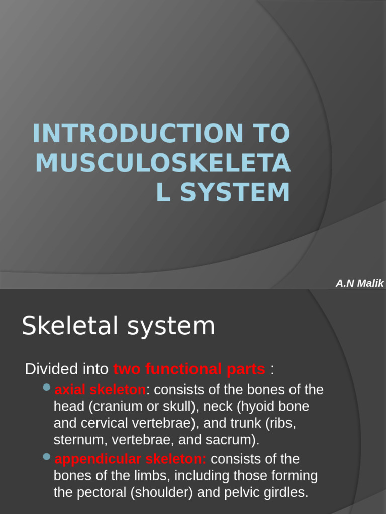 Introduction To Musculoskeletal System | PDF | Bone | Skeleton