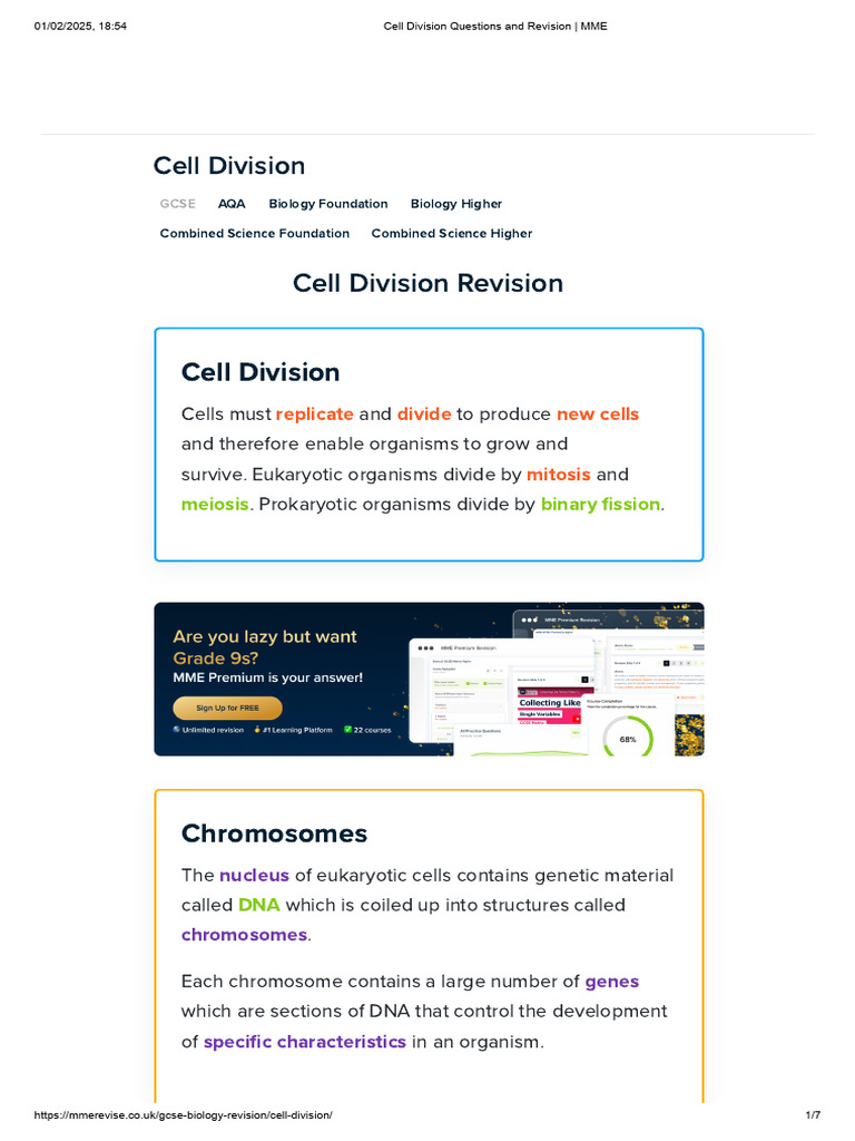 GCSE Cell Division Revision Guide | PDF | Cell (Biology) | Mitosis