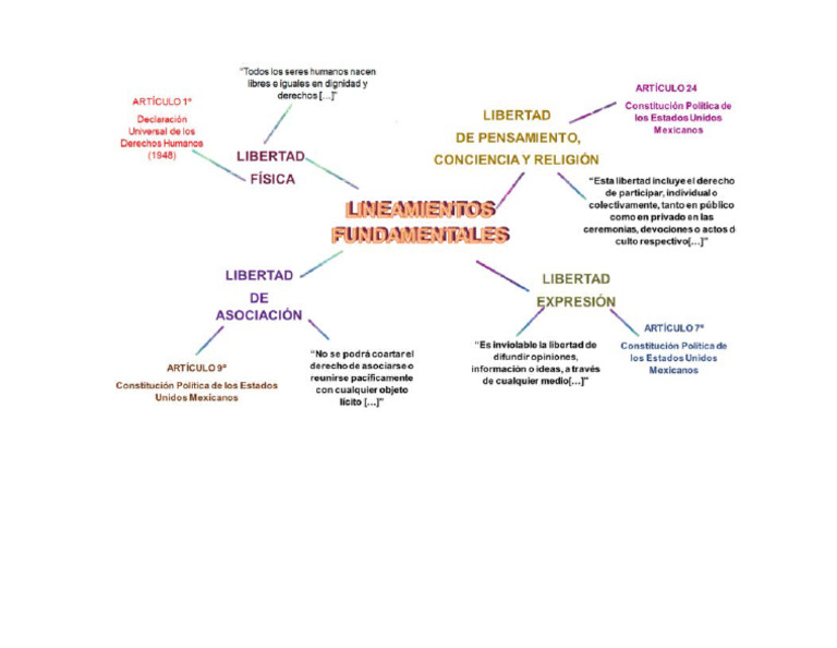 Libertades Fundamentales | PDF
