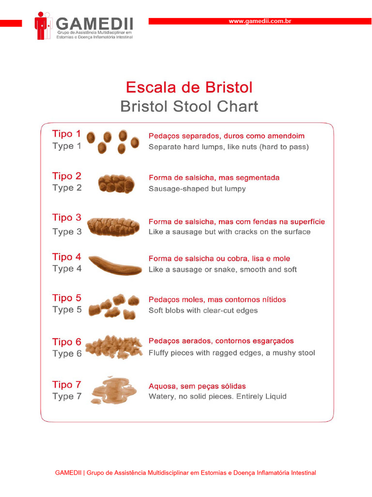 Escala de Bristol | PDF
