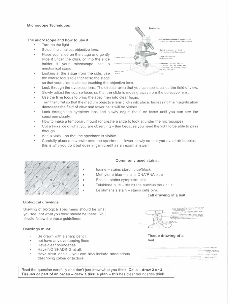 Microscope Techniques | PDF